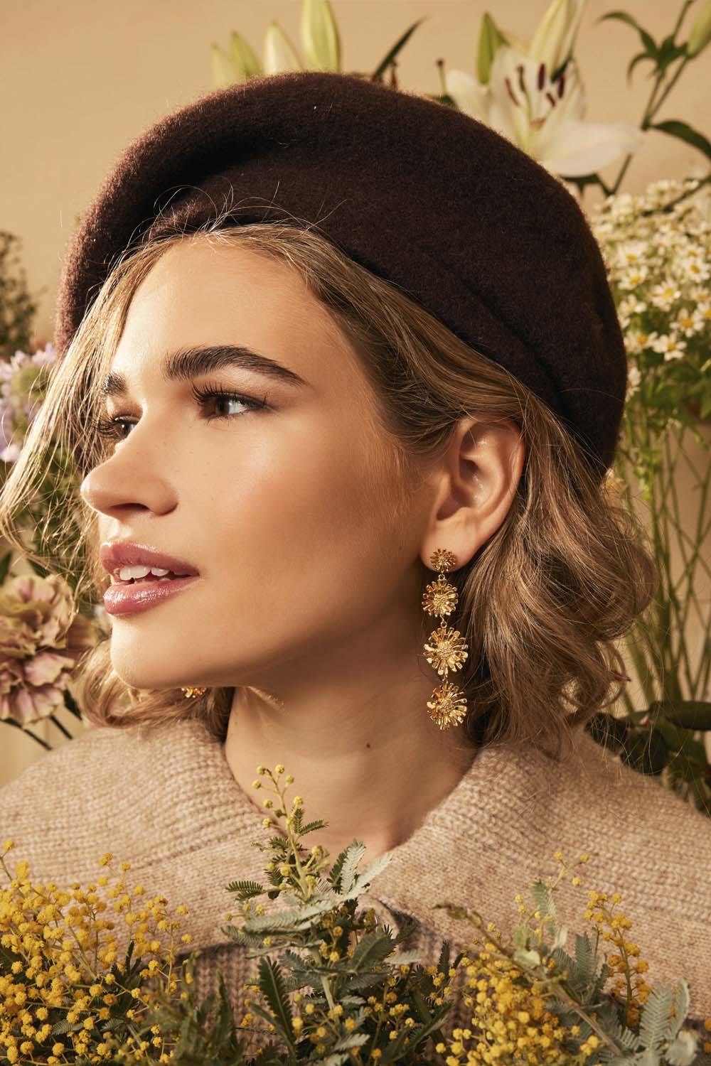 Nuestras colecciones – Apodemia