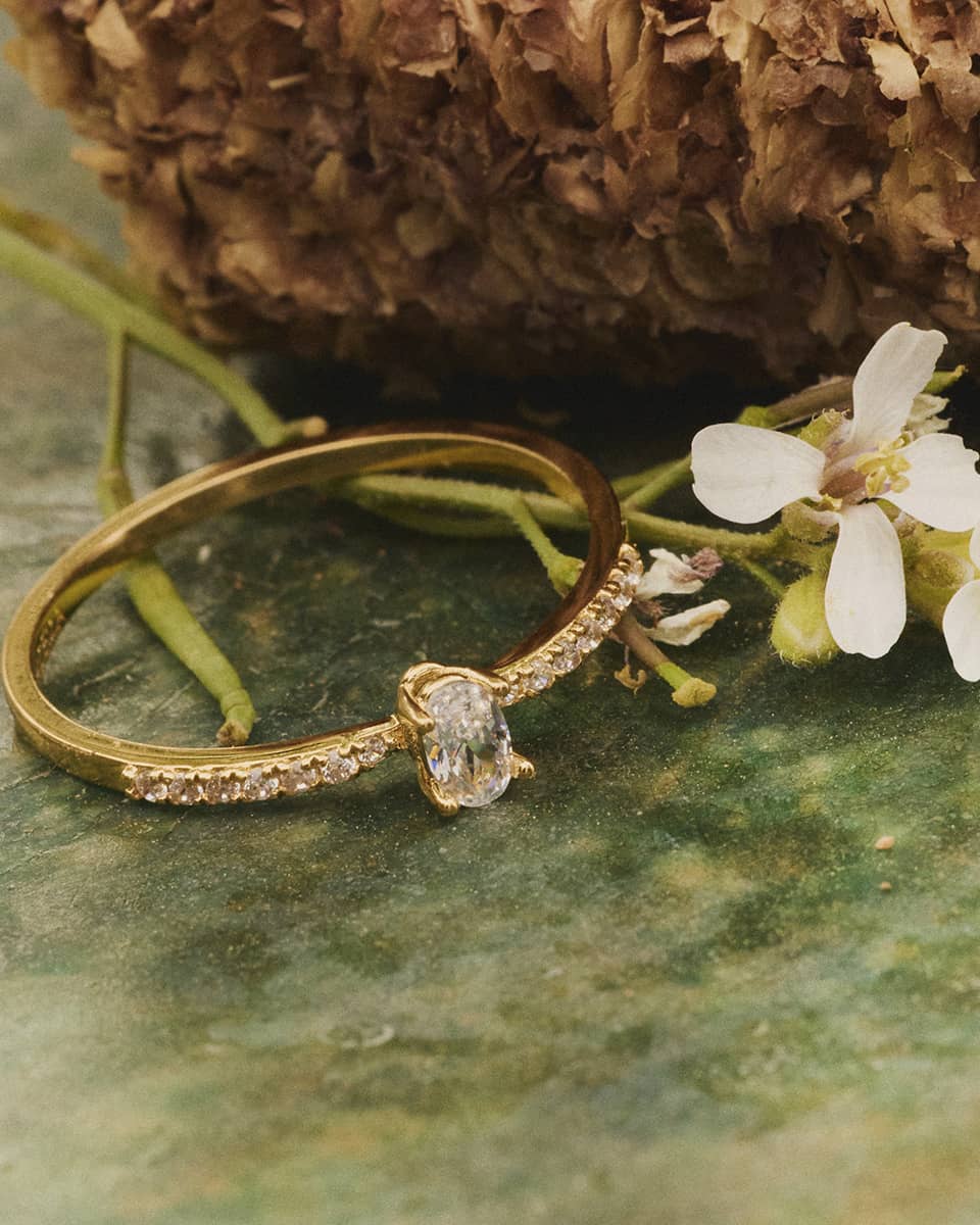 Jewelry and home accessories | APODEMIA Jewelry & Lifestyle – Apodemia