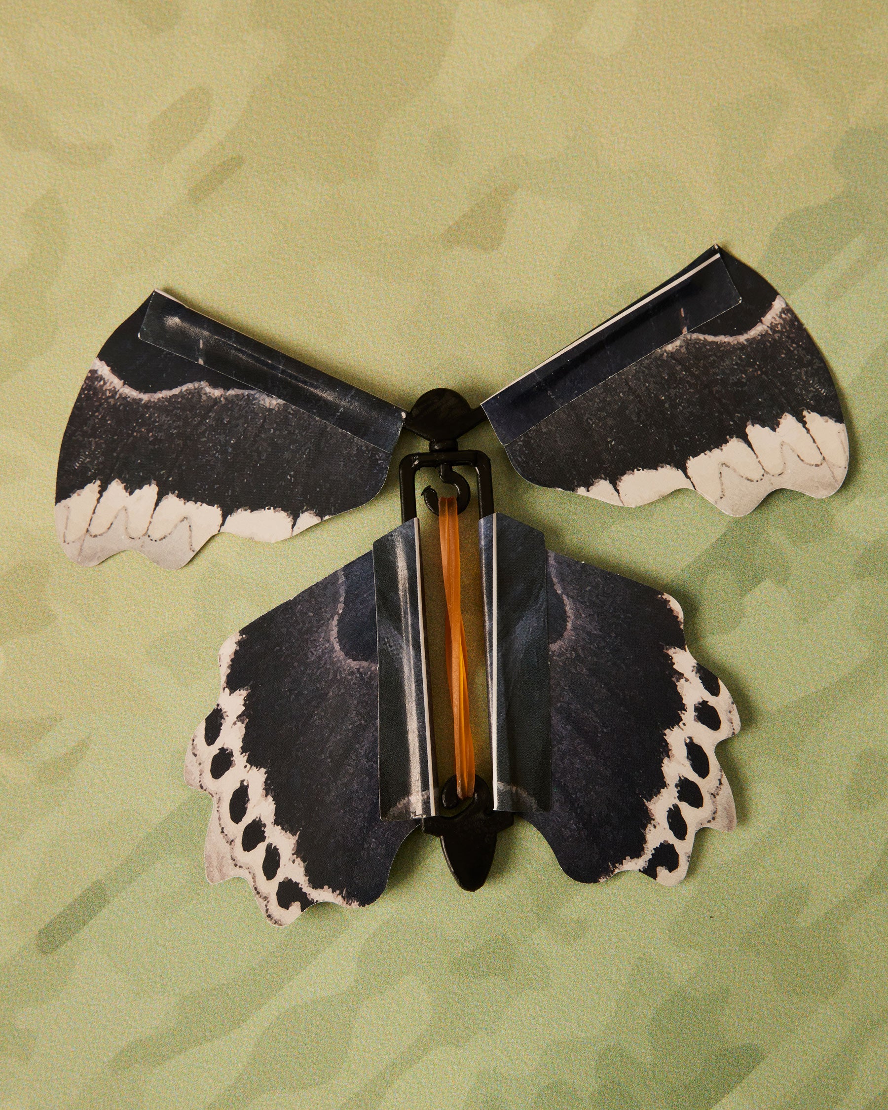Flying Butterfly Card – Apodemia